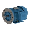 W22 IE1 Standard Efficiency 0.18 kW 4P 63 3Ph 220-230-240/380-400-415//460 V 50 Hz IC411 - TEFC ...