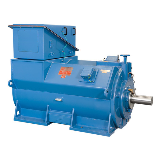 Large Induction Motors | WEG