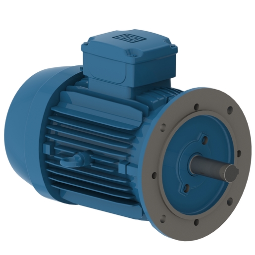 W21Xec Increased Safety IE1 3 kW 4P 100L 3Ph 400/690 V 50 Hz IC411 ...