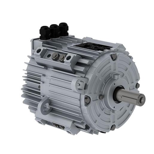 W30 SMART EC 1.5 kW 10P 100L 3F 380-480//380-480 V 50/60 Hz IC418 ...