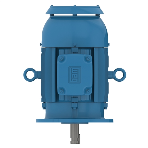 W21 P-Base | W21 P-Base | P-Base | Pump | AC Motors - NEMA | Electric ...