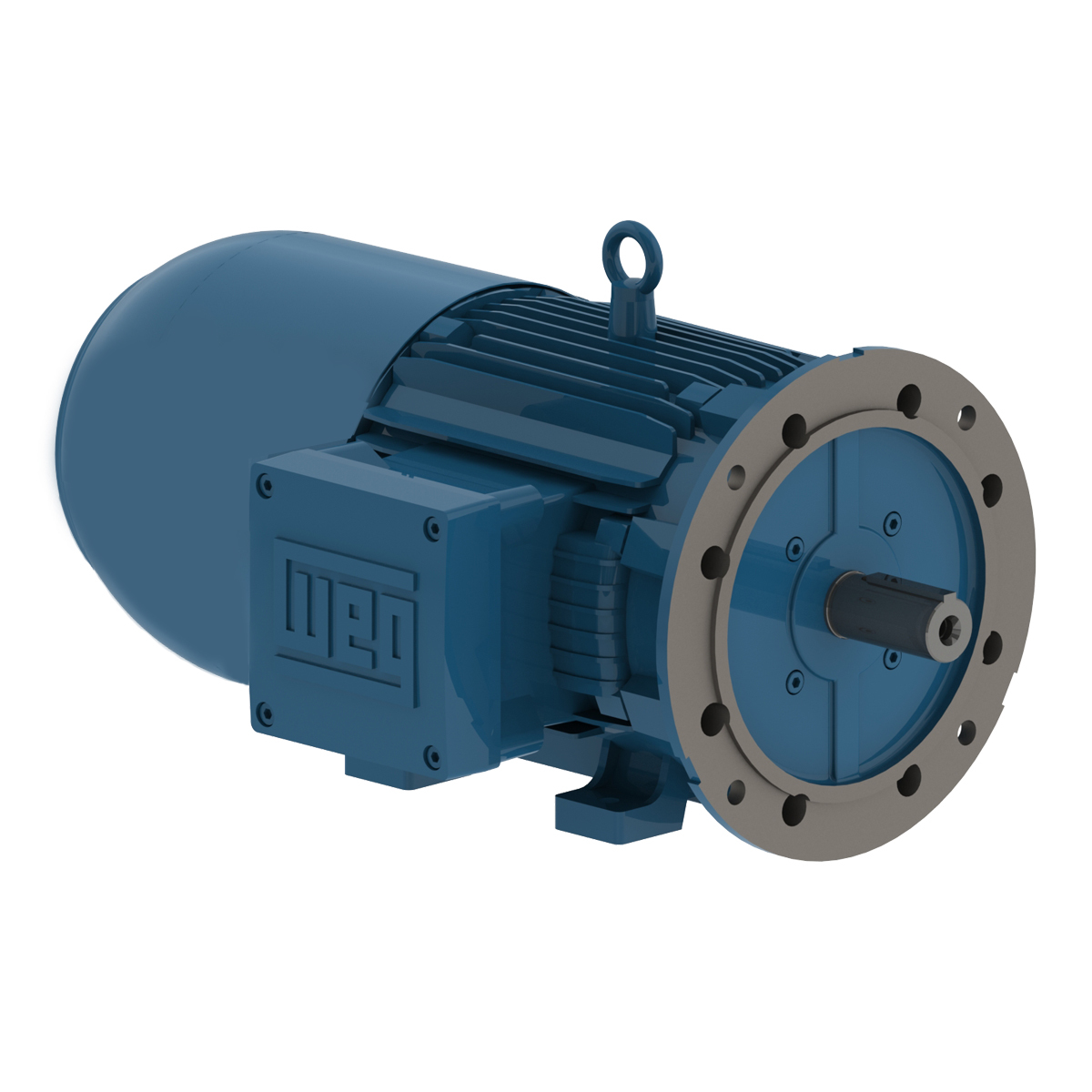 W21Xdb Explosion Proof Brake Motor IR2 1 cv 6P 90L 3Ph 440 V 60 Hz ...