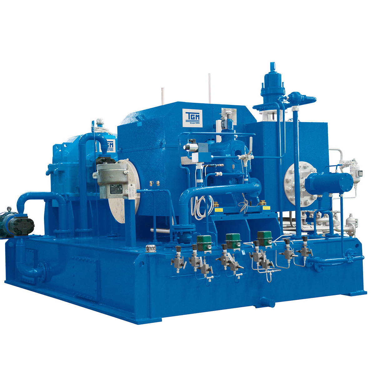 Steam Turbine - Impulse technology - Backpressure - TM FLEX Line ...