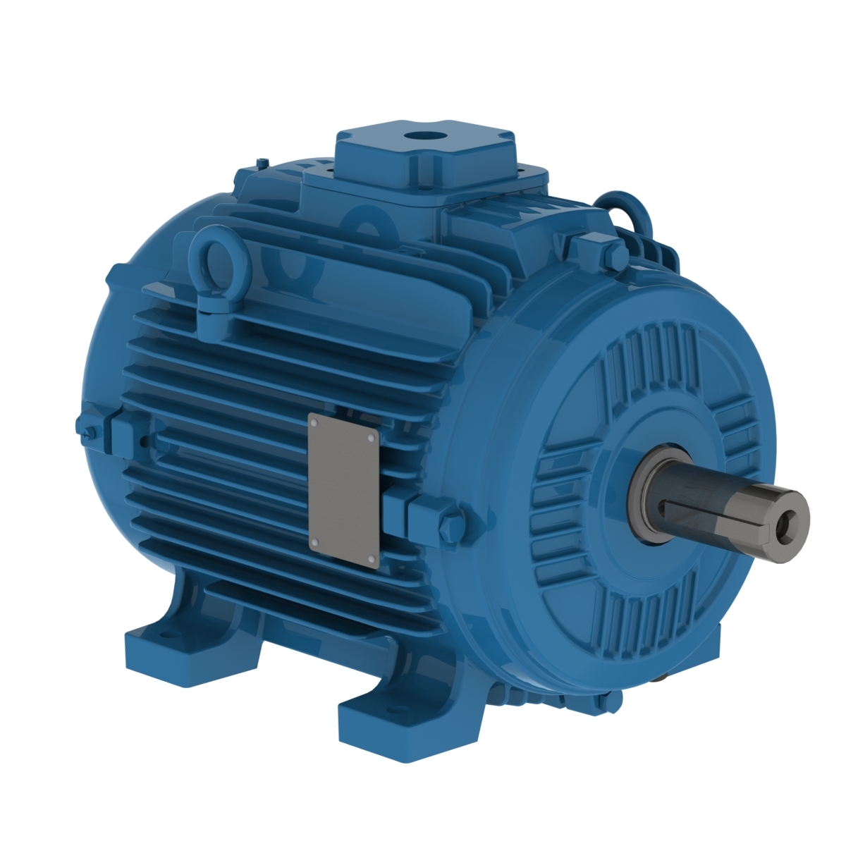 W21 - 铸铁 TEAO | 铸铁 TEAO | WEG - Products