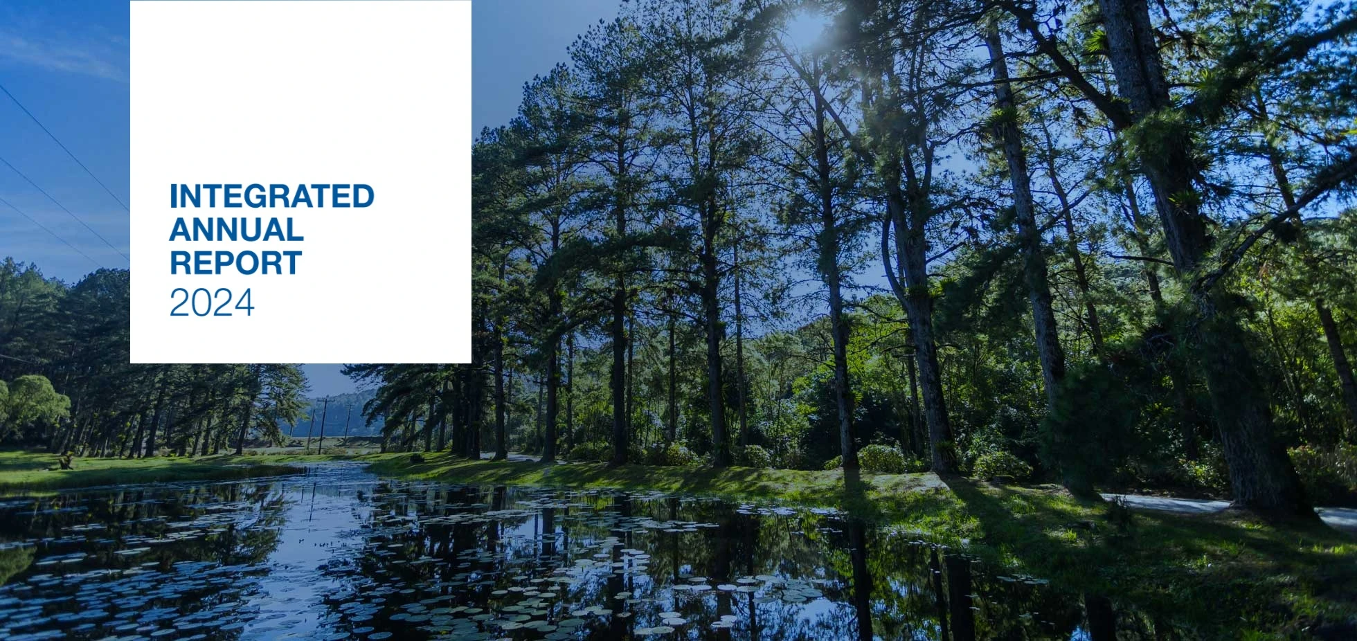 Sustainability | WEG