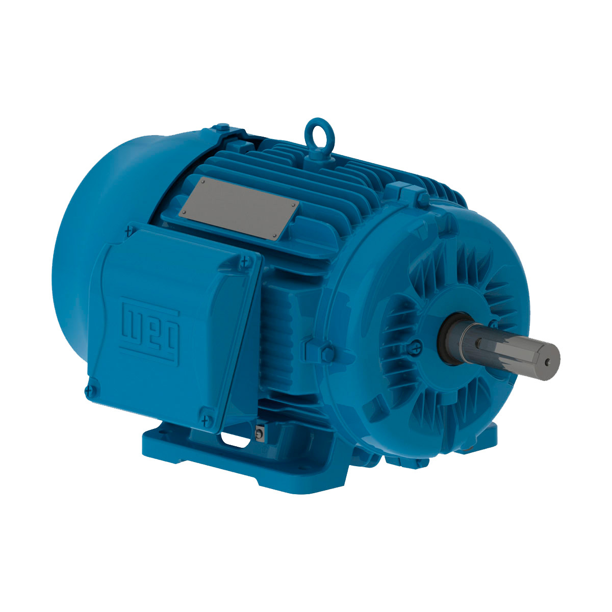W22 | W22 | Single Phase | Low Voltage IEC Motors | Electric Motors ...