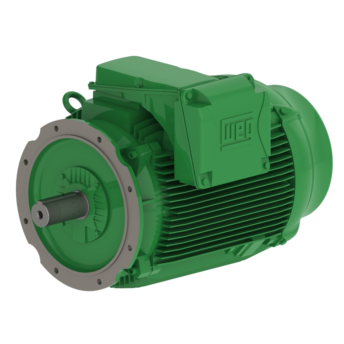 W22 IE3 Premium Efficiency 45 kW 4P 225S/M 3Ph 380-400-415/660-690//460 V 50 Hz IC411 - TEFC ...