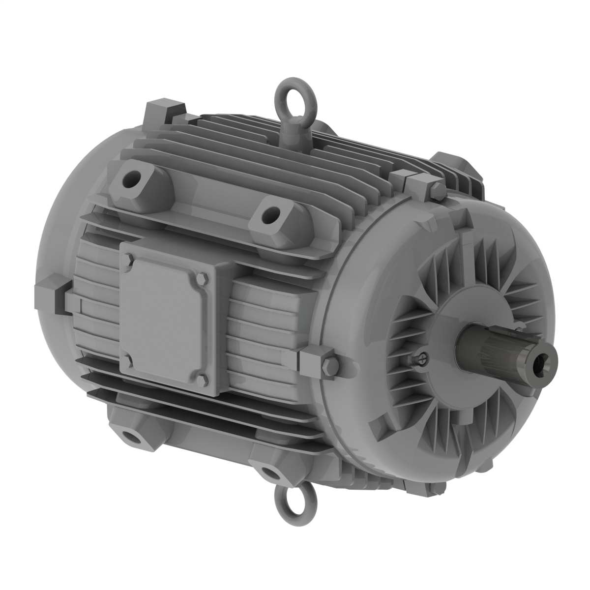 W22 NEMA Premium Efficiency 0.75 HP 2P 145Y 3Ph 208-230/460 V 60 Hz ...