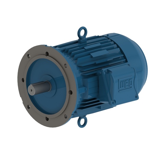 W22 Tru-Metric IE3 0.25 HP 2P 63 3F 460//220-240/380-415 V 60 Hz IC411 - TEFC - B5L(E) | TEFC ...