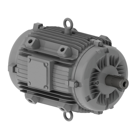 W22 NEMA Premium Efficiency 15 HP 4P 256Y 3Ph 208-230/460 V 60 Hz IC418 ...