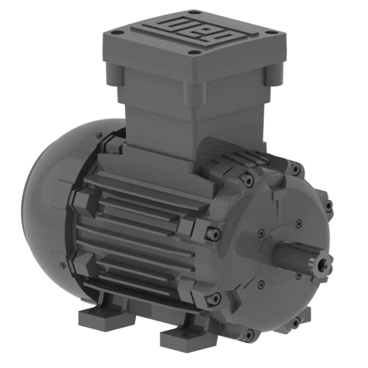 W21 Explosion Proof Standard Efficiency 0.55 kW 4P 90S 3Ph 220-240/380 ...