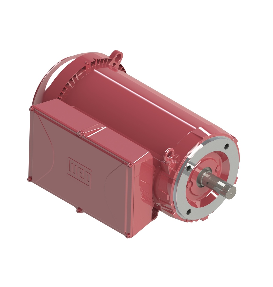 ROLLED STEEL 10 HP 4P 213/5TC 1Ph 230 V 60 Hz IC411 - TEFC - Foot ...