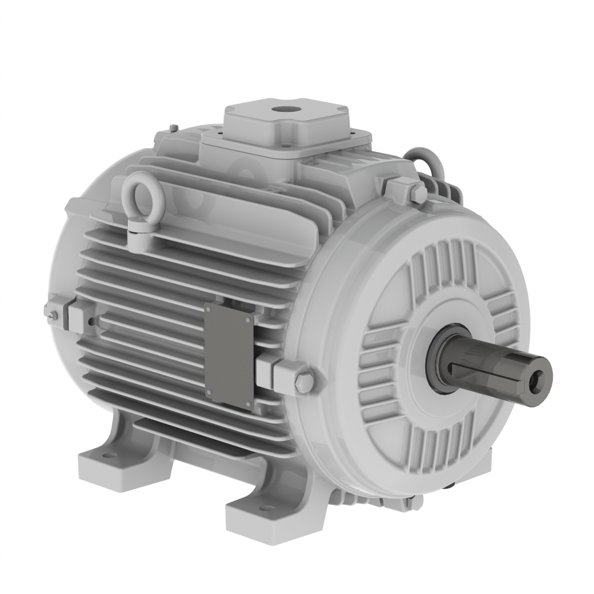 电机 W21 Fan and Exhaust IE3 1.1 kW 4P 90S 3F 220-240/380-415//440-460 V ...