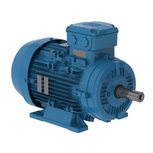 Electric Motor Mounting Types