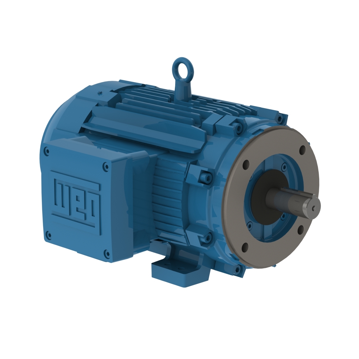 W21 Explosion-proof Motor NEMA Premium Efficiency 10 HP 4P L215T 3Ph ...