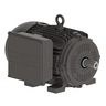 W21 | W21 | TEFC Cast Iron | General Purpose | AC Motors - NEMA ...
