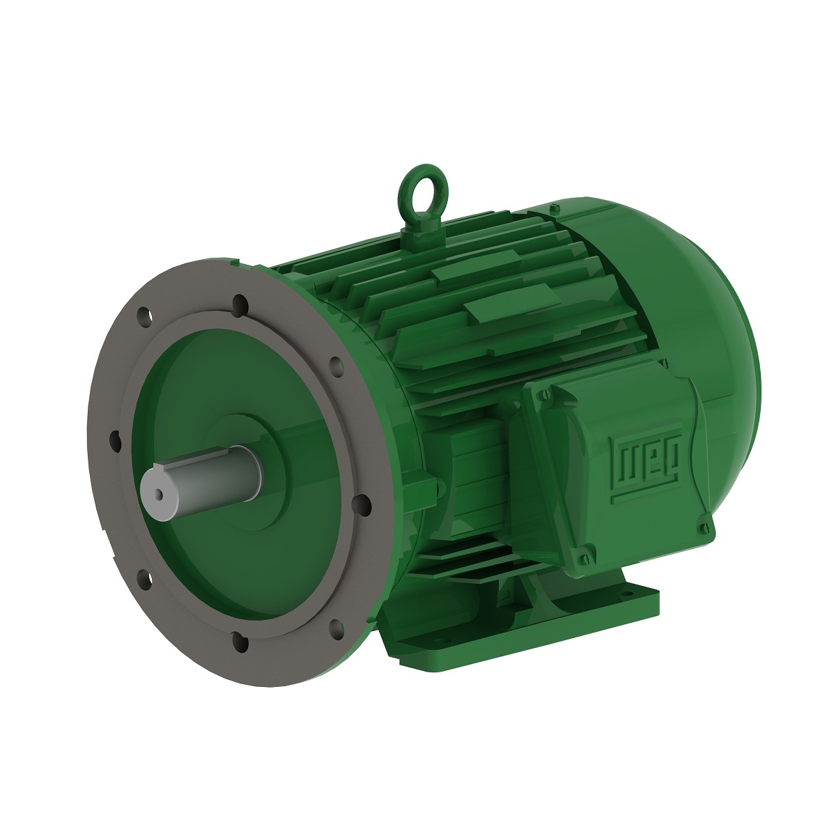 W22 Standard Efficiency 0.12 kW 10P 80 3Ph 220-230-240/380-400-415//460 V 50 Hz IC411 - TEFC ...