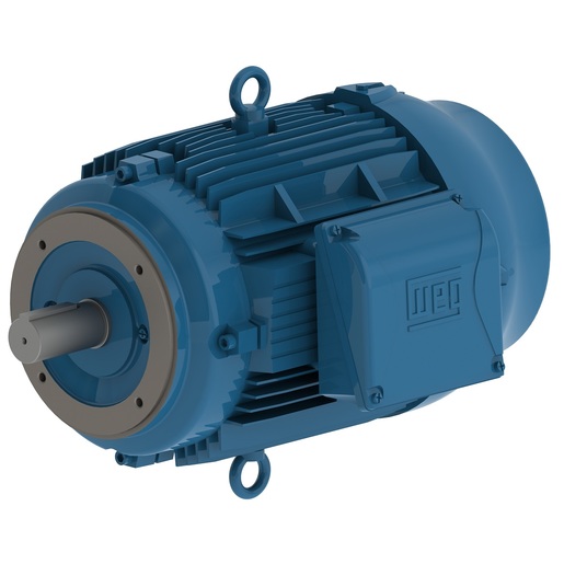 TEFC W22 Tru-Metric | TEFC W22 Tru-Metric | Cast Iron Frame | General Purpose | AC Motors - IEC ...