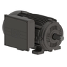 W21 | W21 | TEFC Cast Iron | General Purpose | AC Motors - NEMA ...